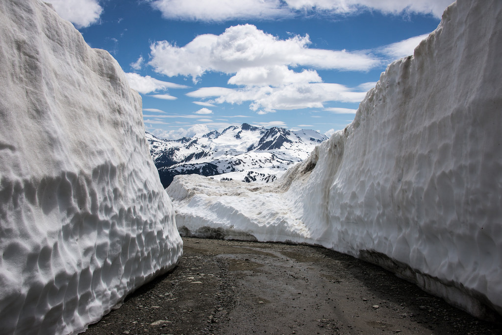 Snow walls a cool surround | Dawn Green - Writer